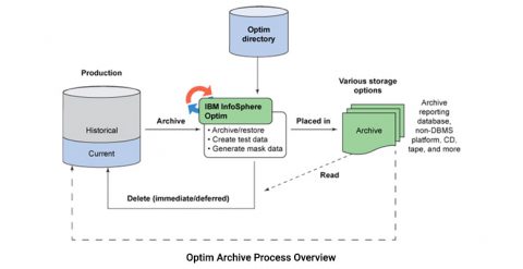 Application Archiving and Retirement Solutions with IBM Optim
