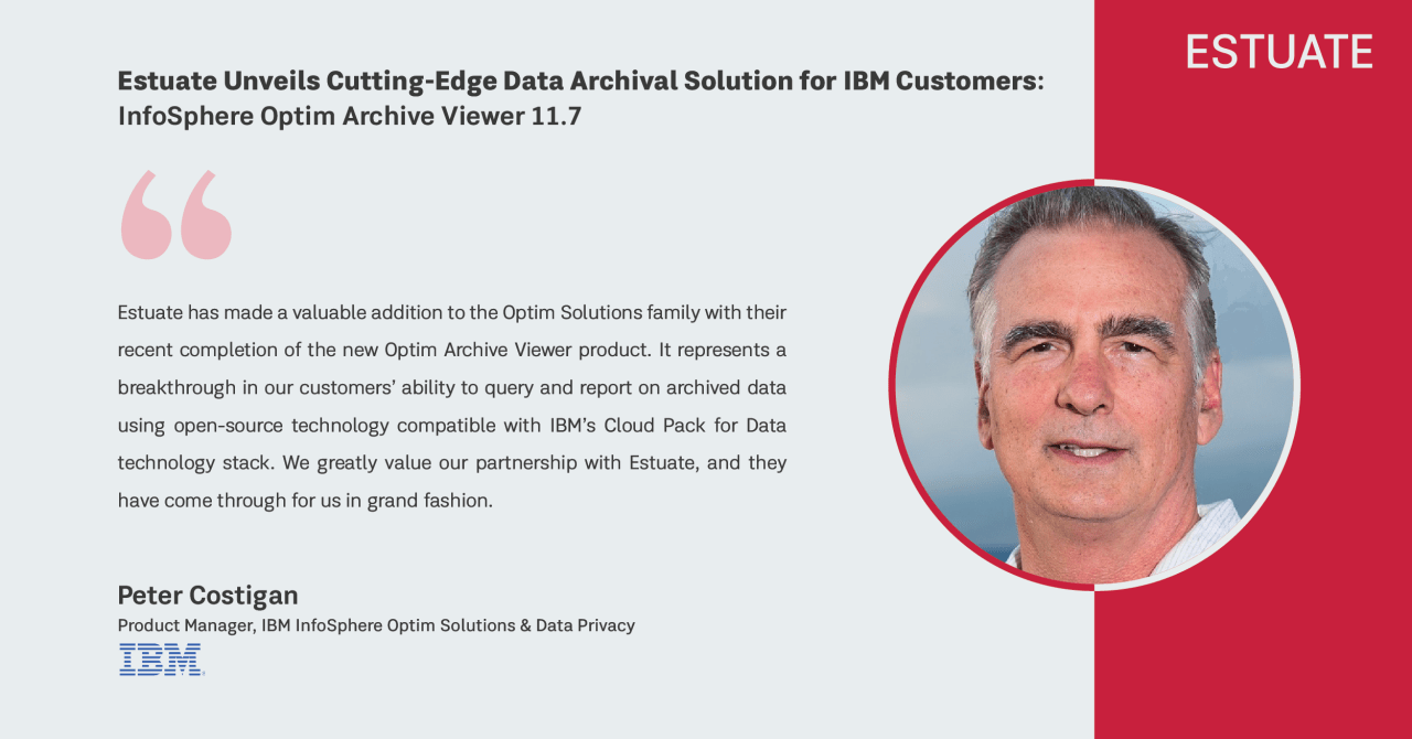 InfoSphere Optim Archive Viewer 11.7: A glimpse into the IBM -Estuate ...